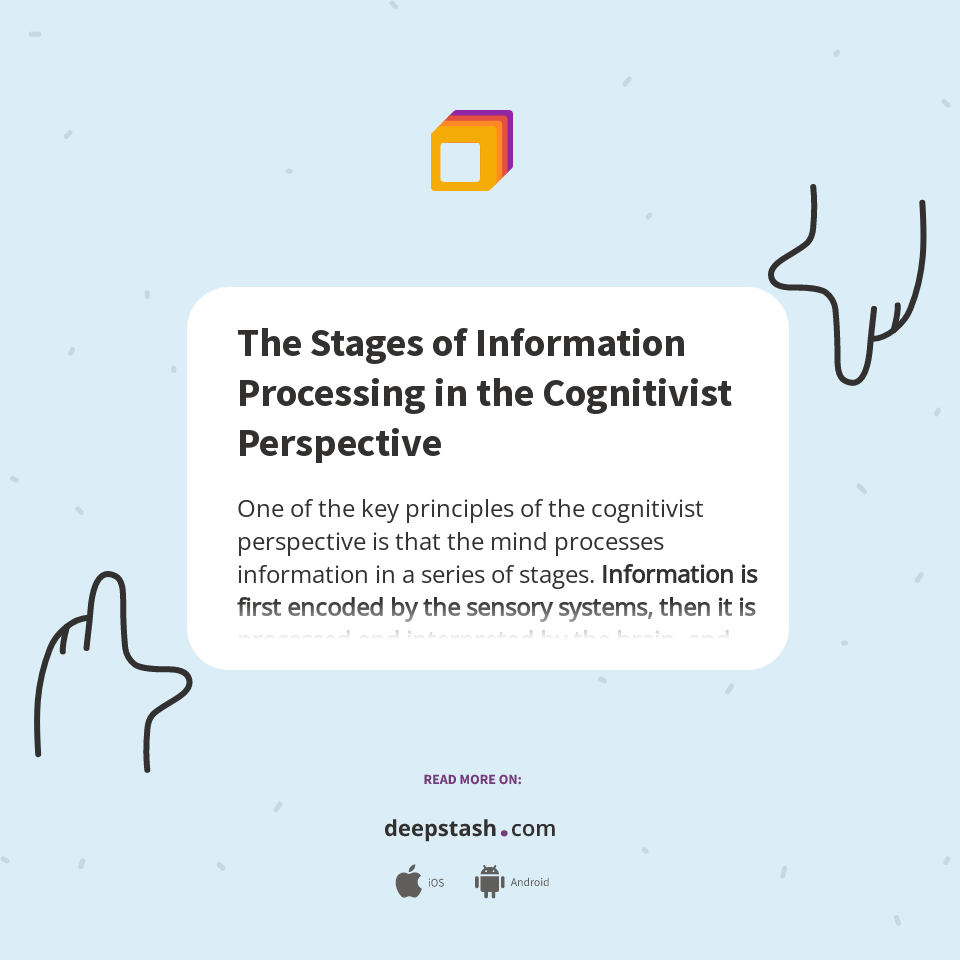 The Stages of Information Processing in the Cognitivist Perspective - Deepstash