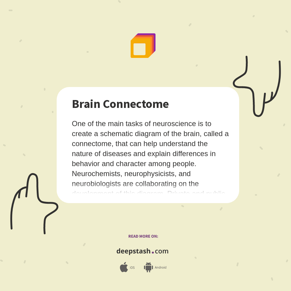 Brain Connectome - Deepstash