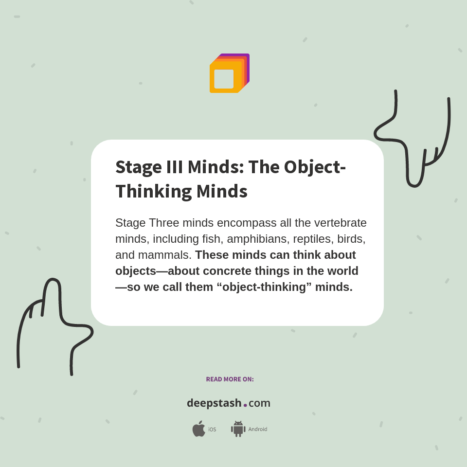 Stage III Minds: The Object-Thinking Minds - Deepstash