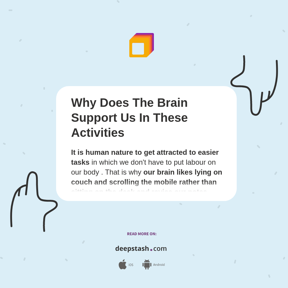 Why Does The Brain Support Us In These Activities - Deepstash