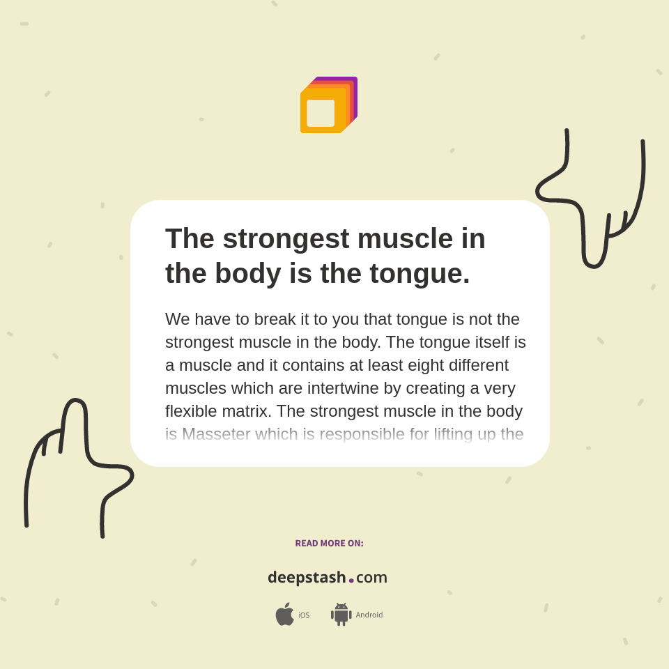 The strongest muscle in the body is the tongue. - Deepstash