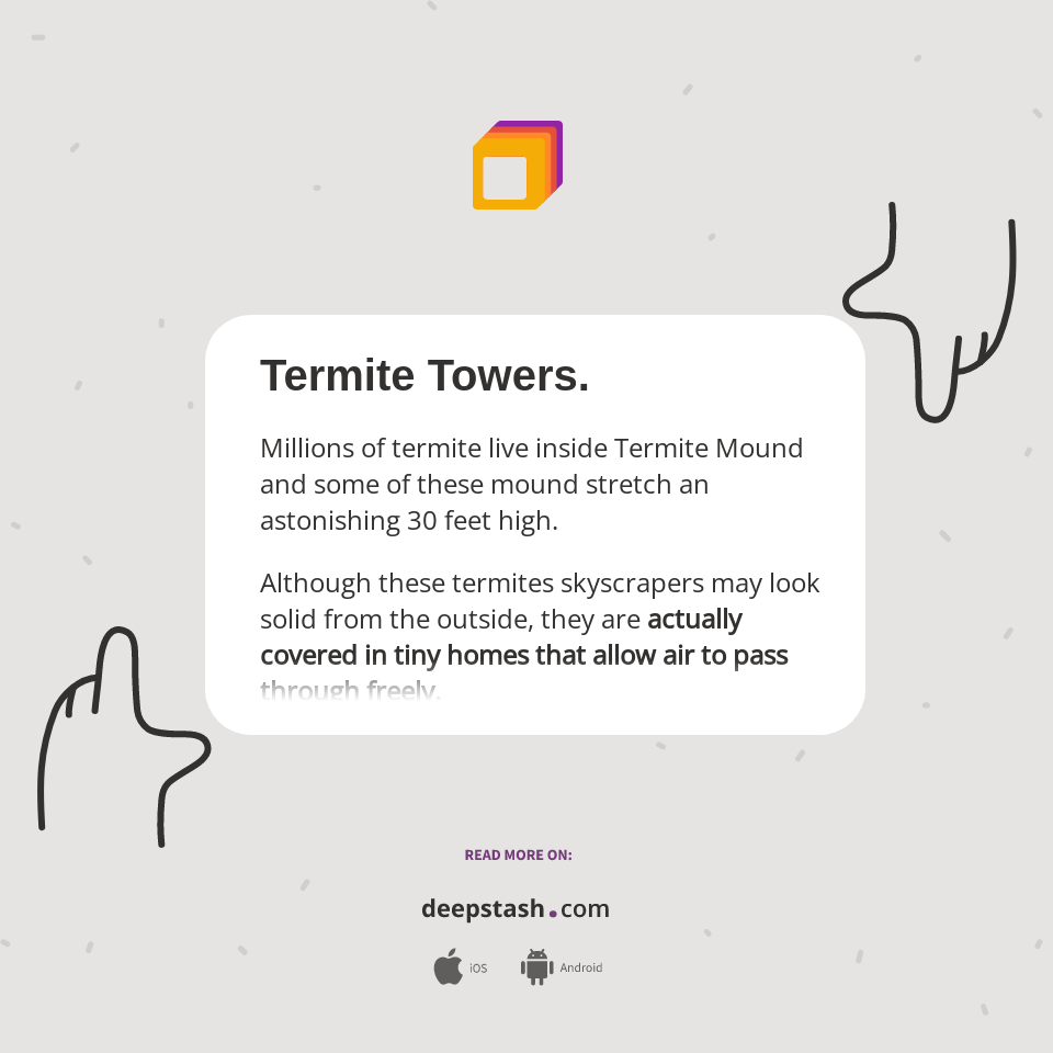 Termite Towers. - Deepstash