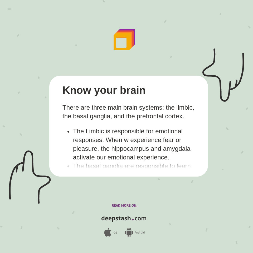 Know your brain - Deepstash