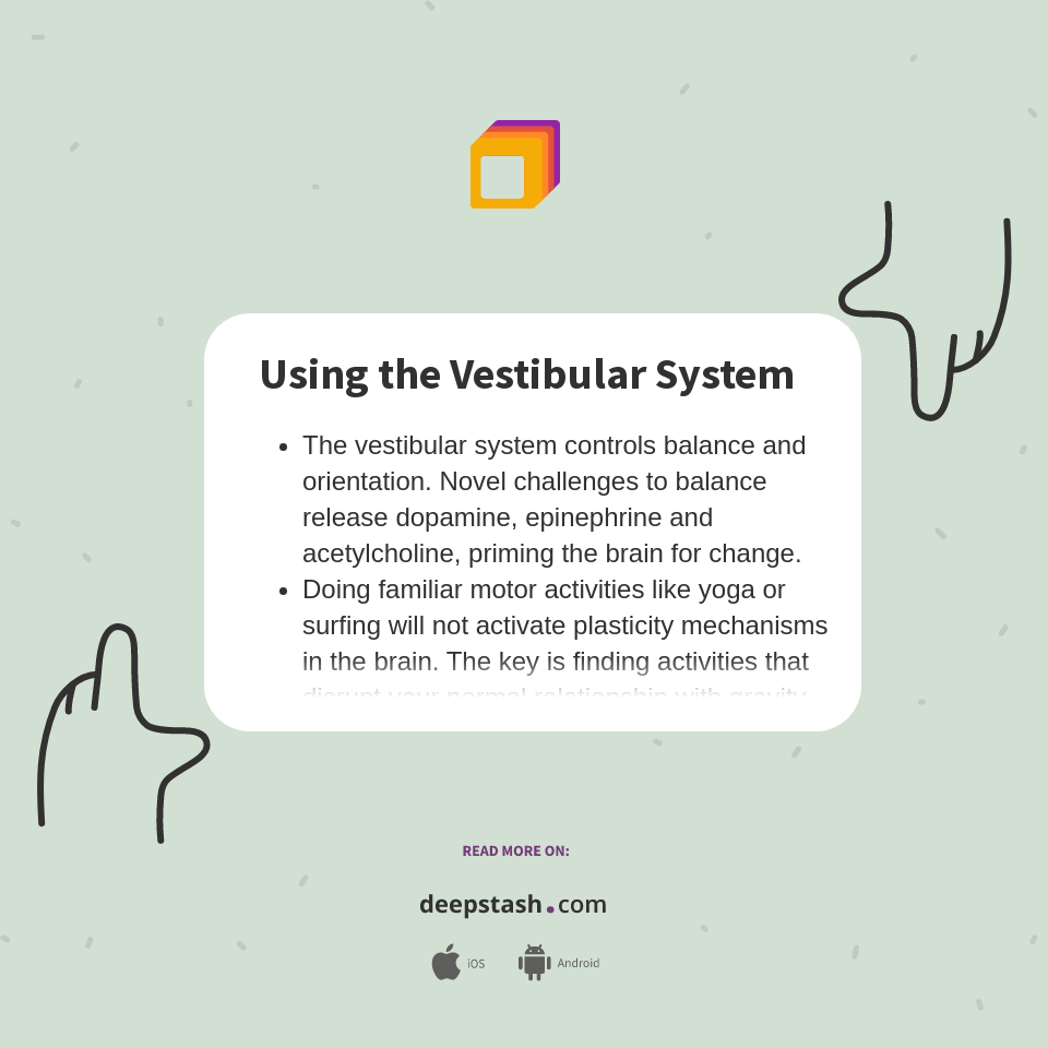 Using the Vestibular System - Deepstash