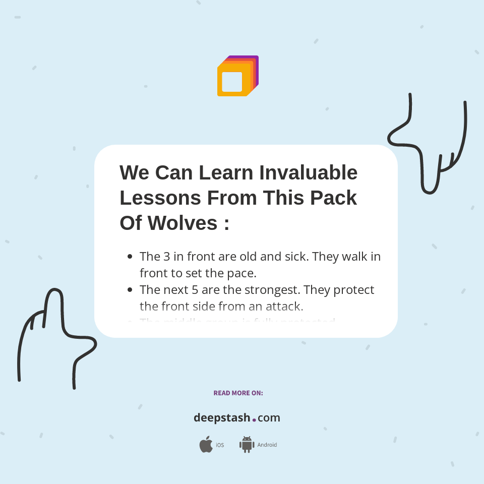 We Can Learn Invaluable Lessons From This Pack Of Wolves : - Deepstash
