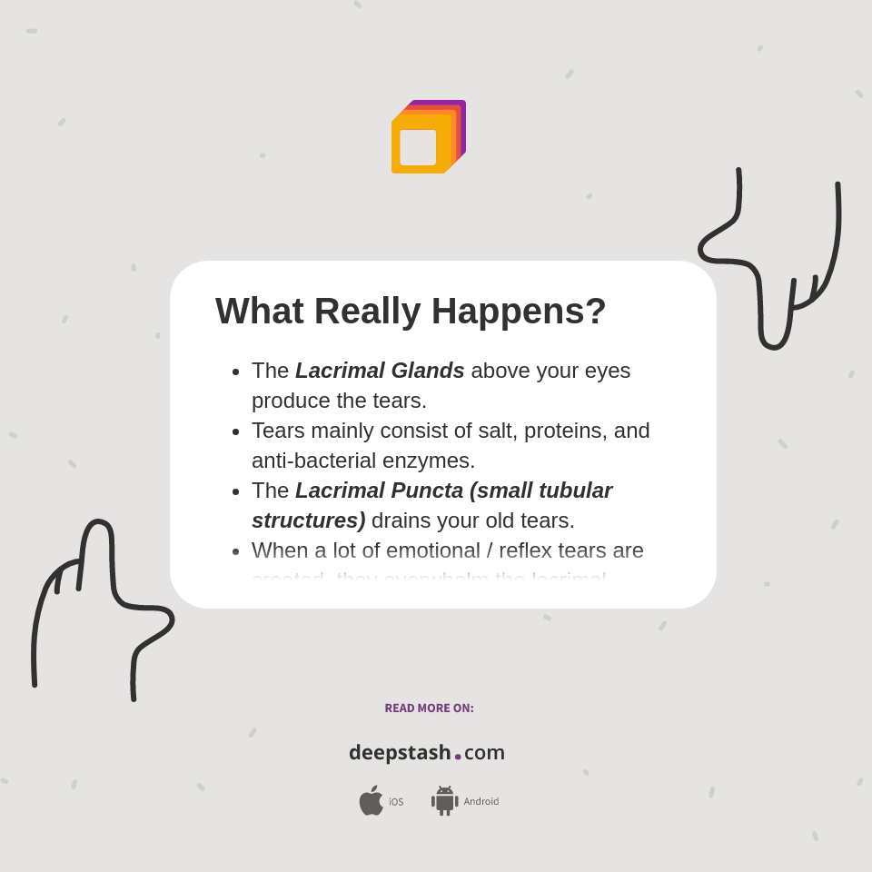 What Really Happens? - Deepstash What Really Happens? - Deepstash