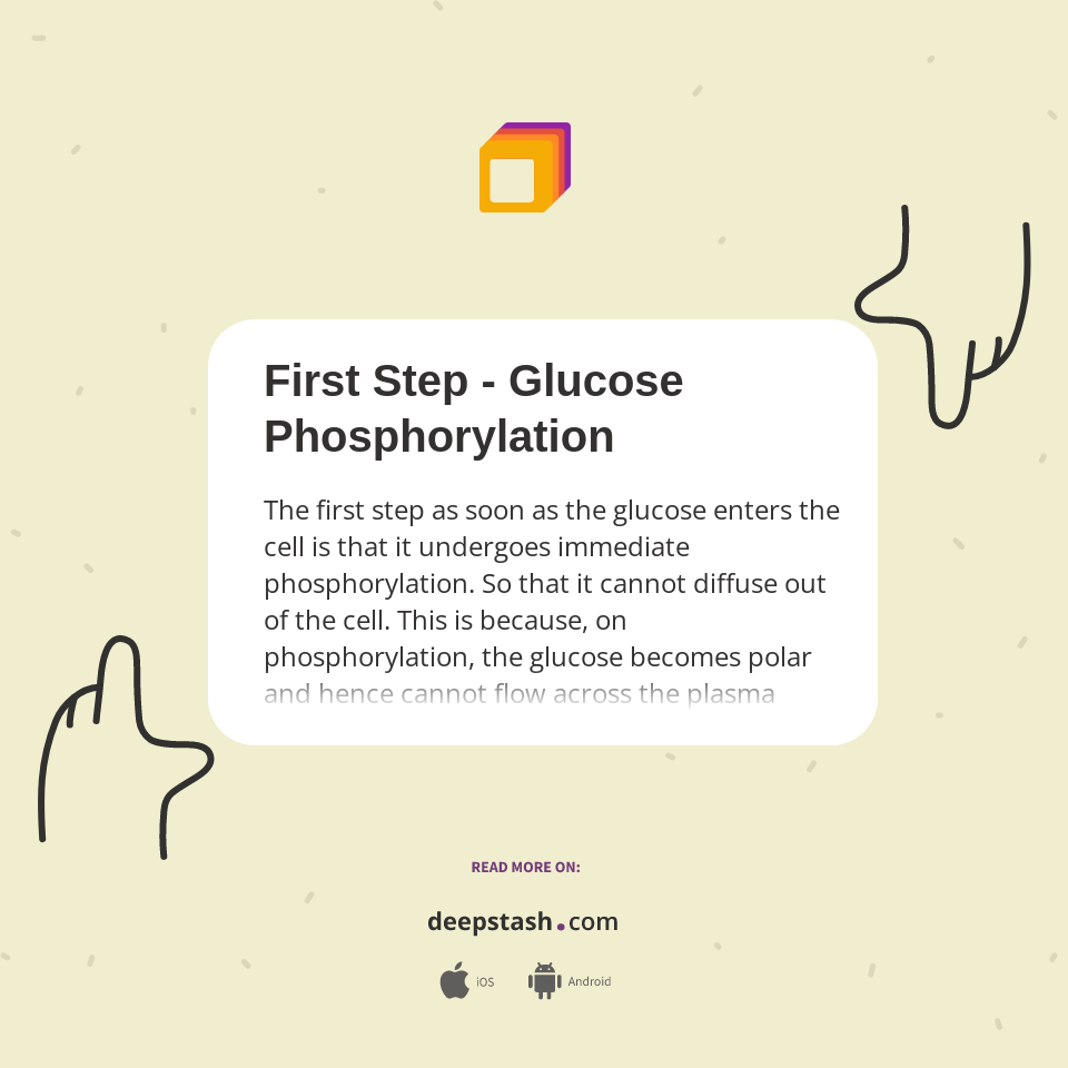 First Step - Glucose Phosphorylation - Deepstash