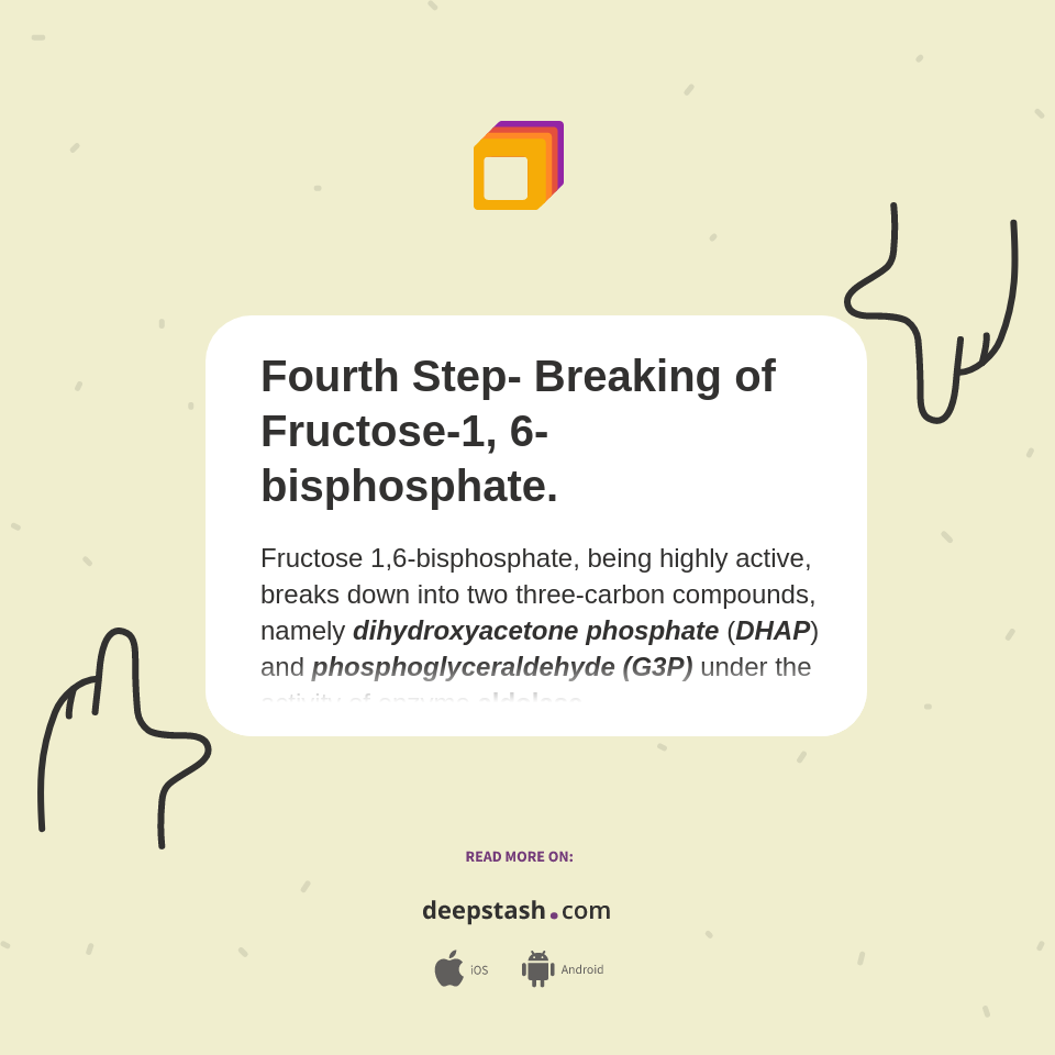 Fourth Step- Breaking of Fructose-1, 6-bisphosphate. - Deepstash