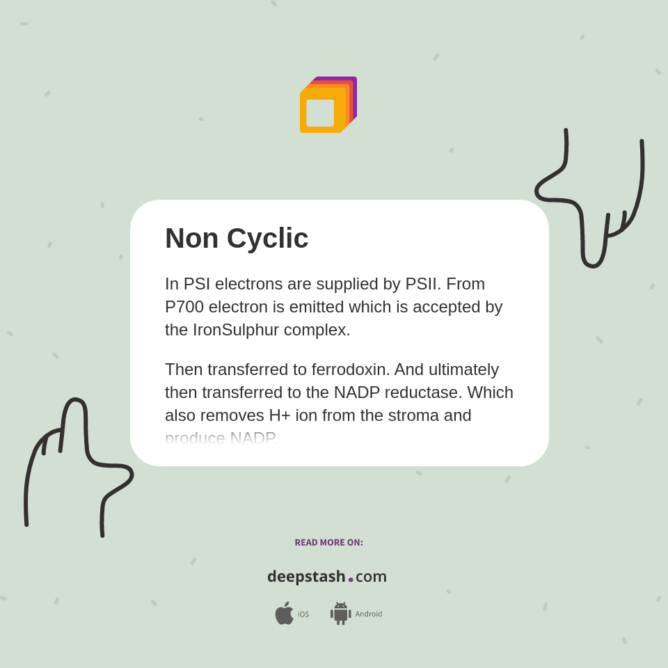 Non Cyclic - Deepstash