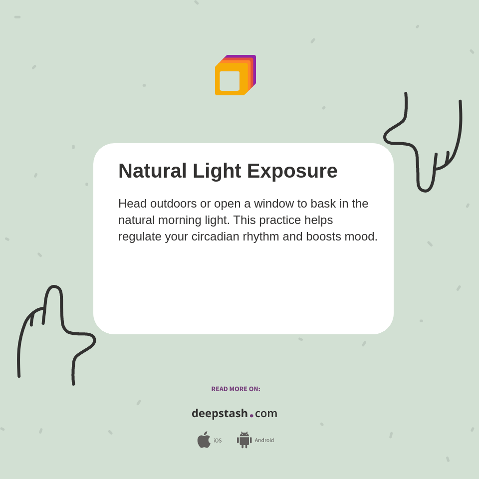 Natural Light Exposure - Deepstash