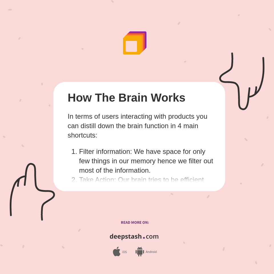 How The Brain Works - Deepstash