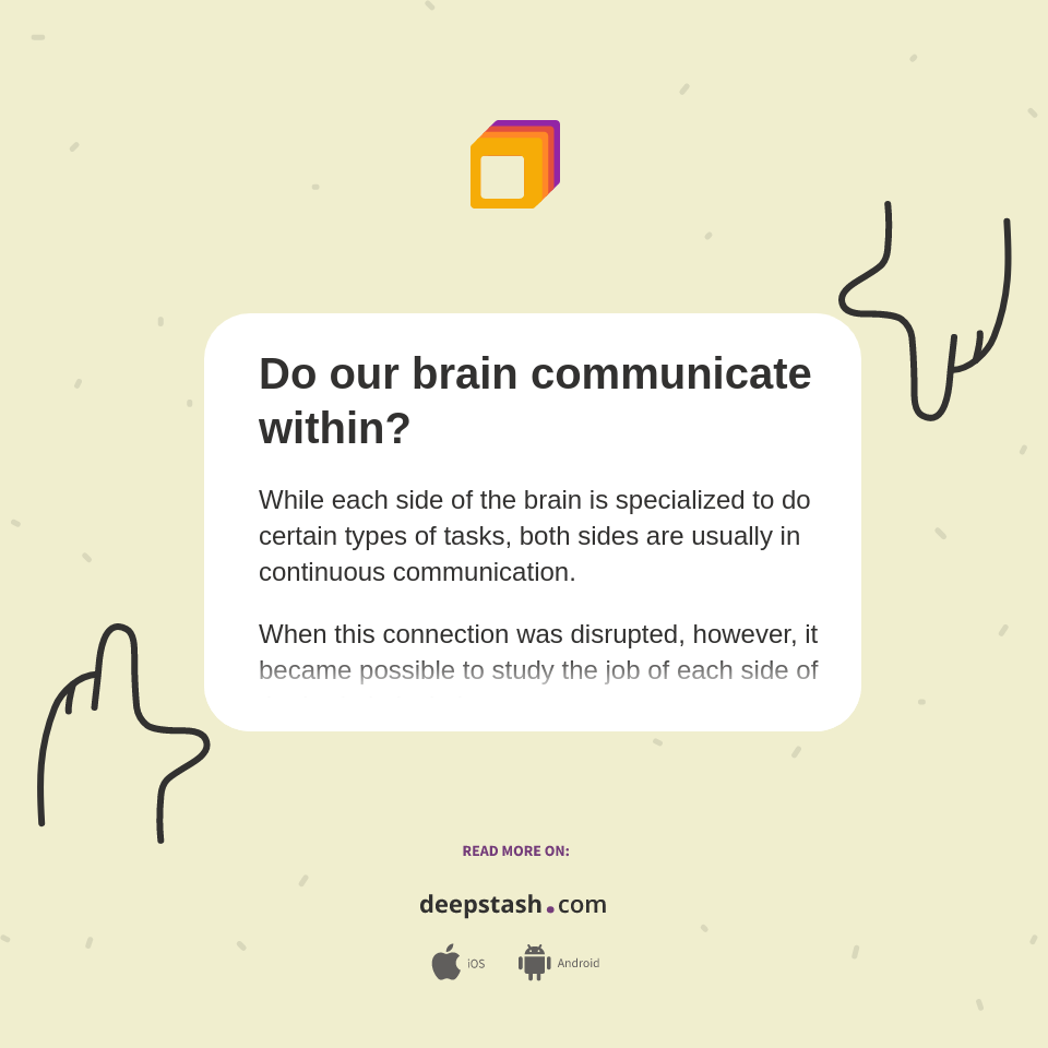 Do our brain communicate within? - Deepstash