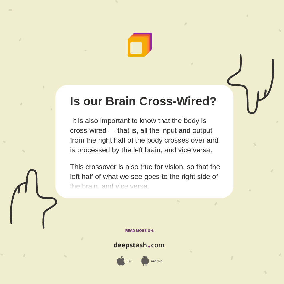 Is our Brain Cross-Wired? - Deepstash