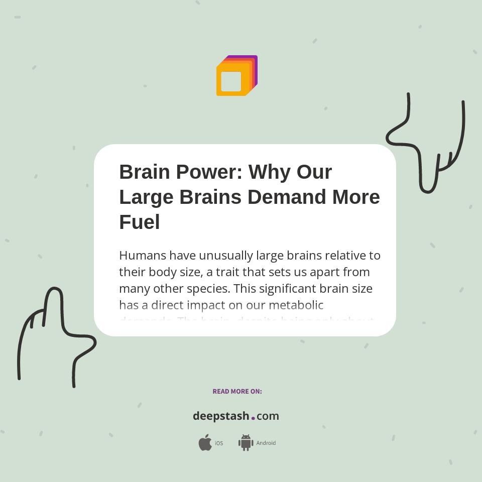 Brain Power: Why Our Large Brains Demand More Fuel - Deepstash