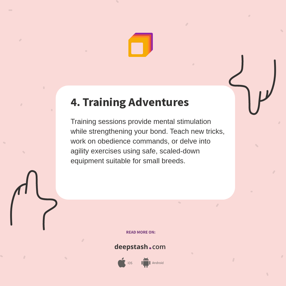 4. Training Adventures - Deepstash