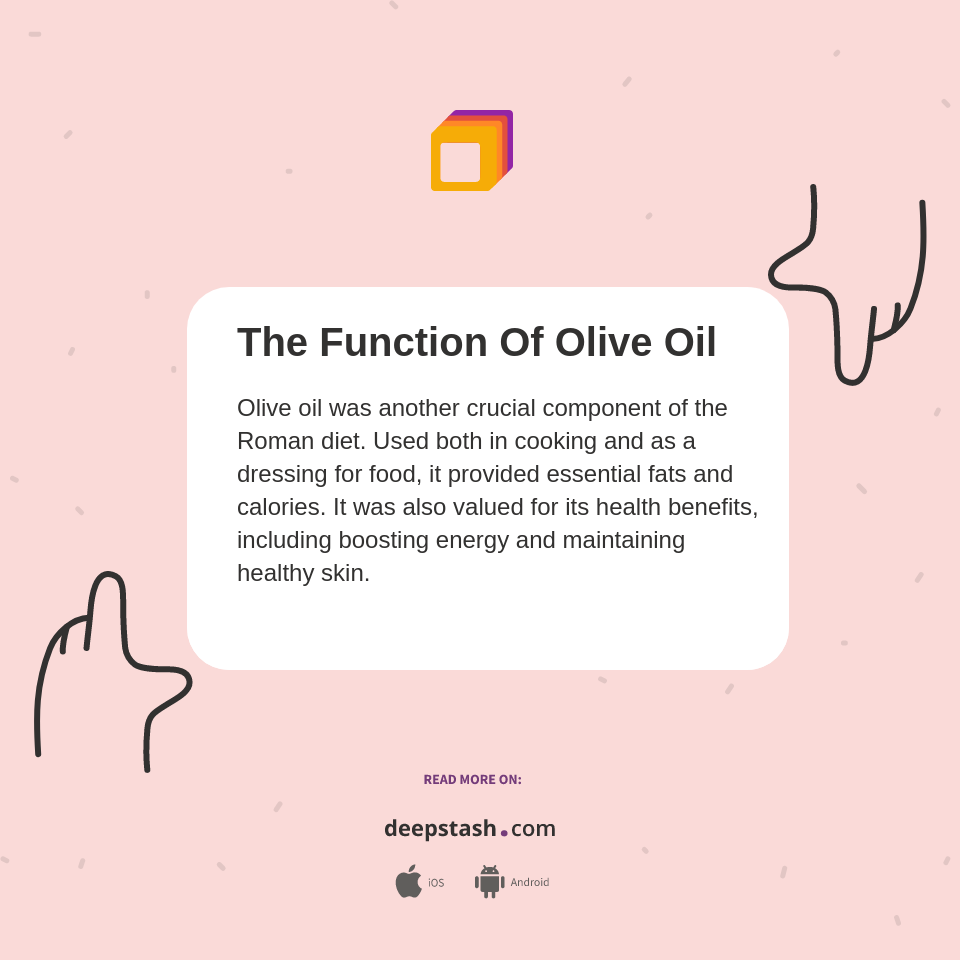 The Function Of Olive Oil - Deepstash