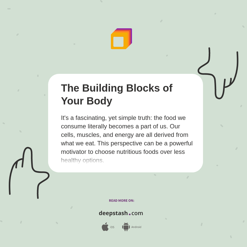 The Building Blocks of Your Body - Deepstash