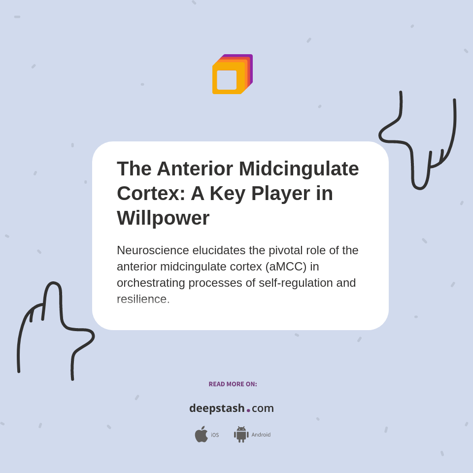 The Anterior Midcingulate Cortex A Key Player In Willpower Deepstash