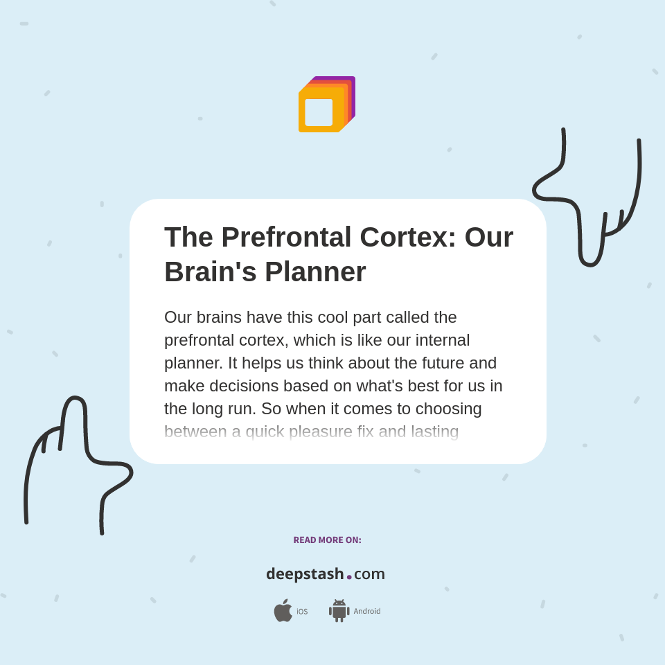 The Prefrontal Cortex: Our Brain's Planner - Deepstash