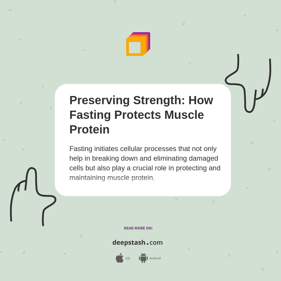 Preserving Strength: How Fasting Protects Muscle Protein - Deepstash