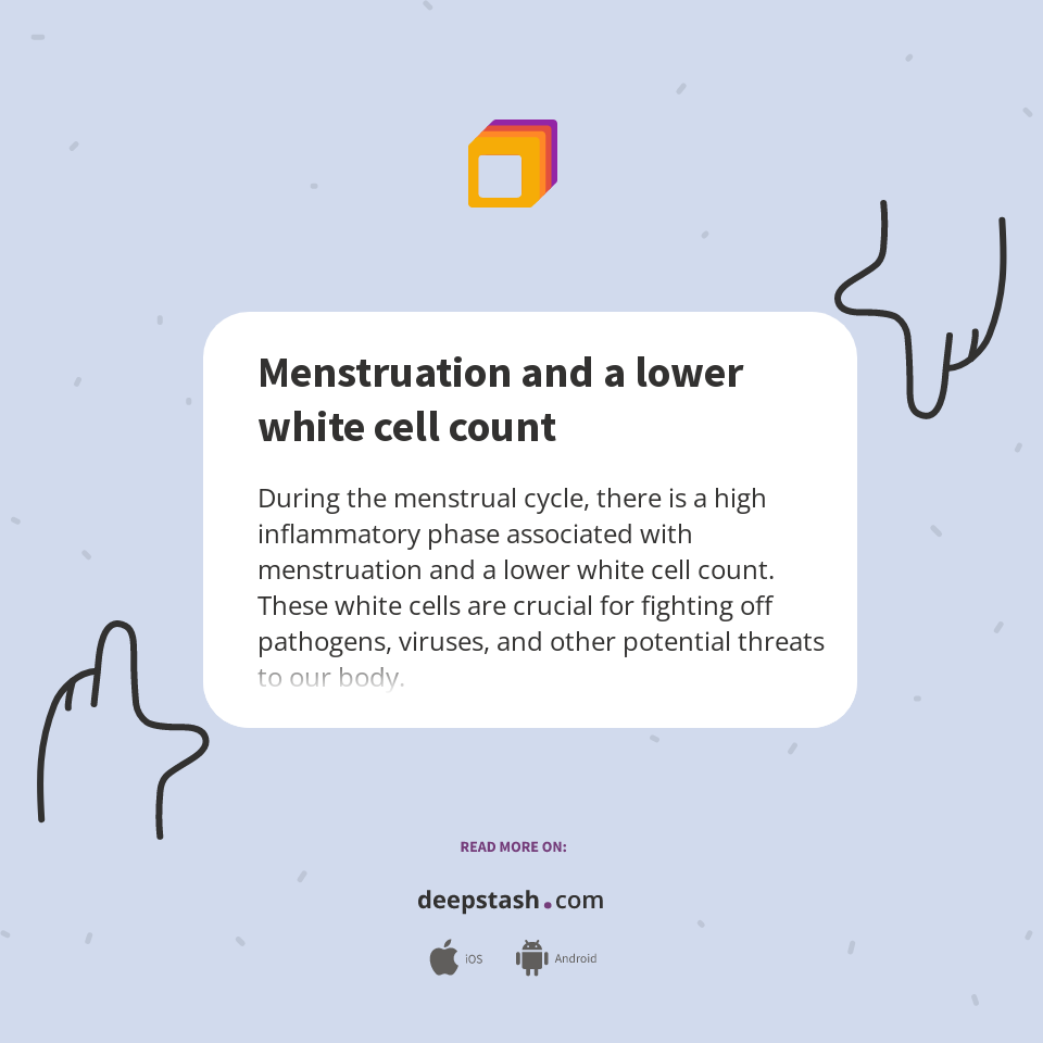 Menstruation And A Lower White Cell Count Deepstash 7602