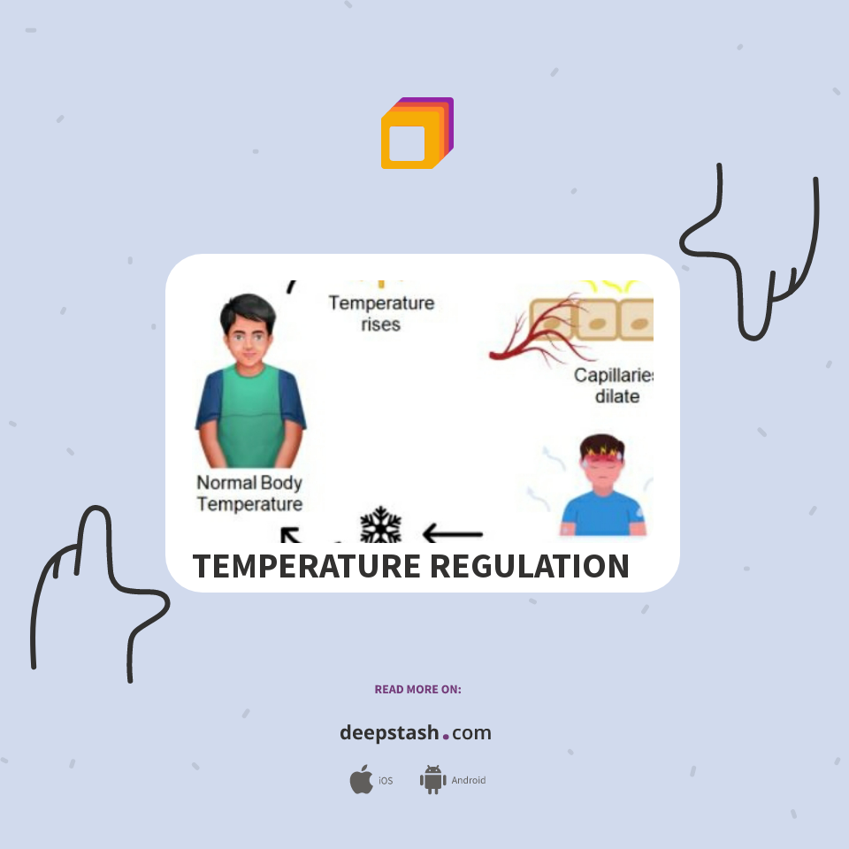 TEMPERATURE REGULATION BY SWEATING - Deepstash