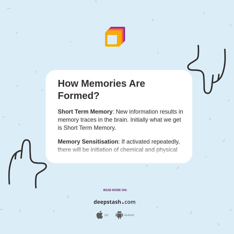How Memories Are Formed? - Deepstash