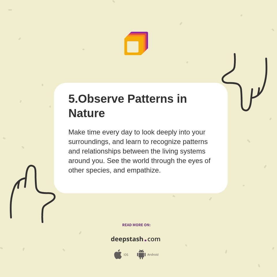 5.Observe Patterns in Nature - Deepstash