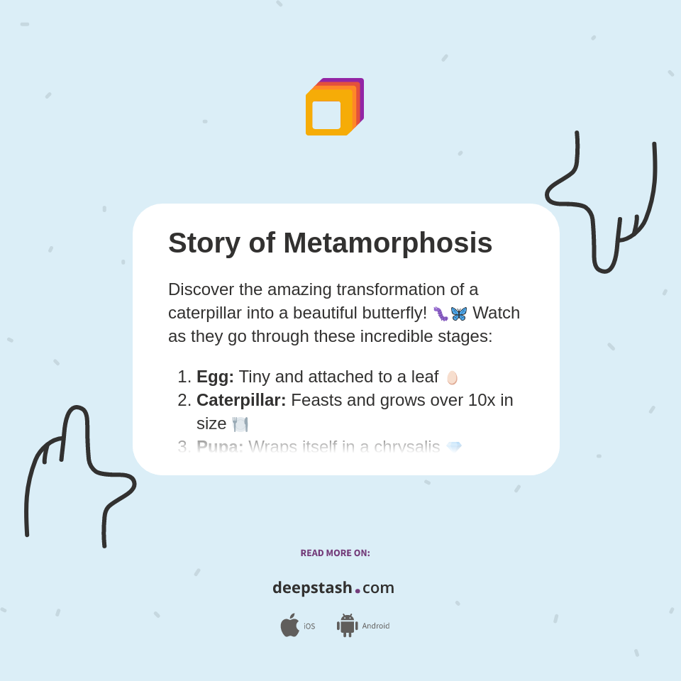 Story of Metamorphosis - Deepstash