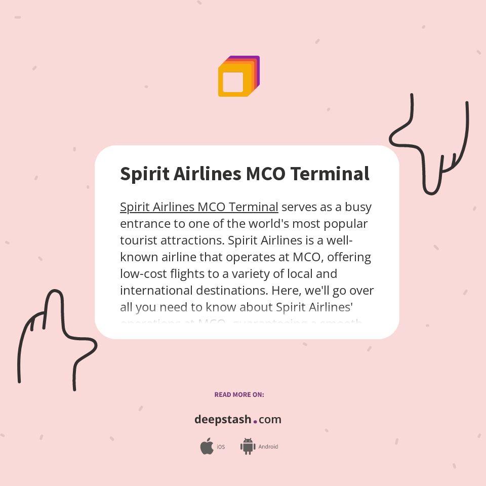 Spirit Airlines MCO Terminal - Deepstash