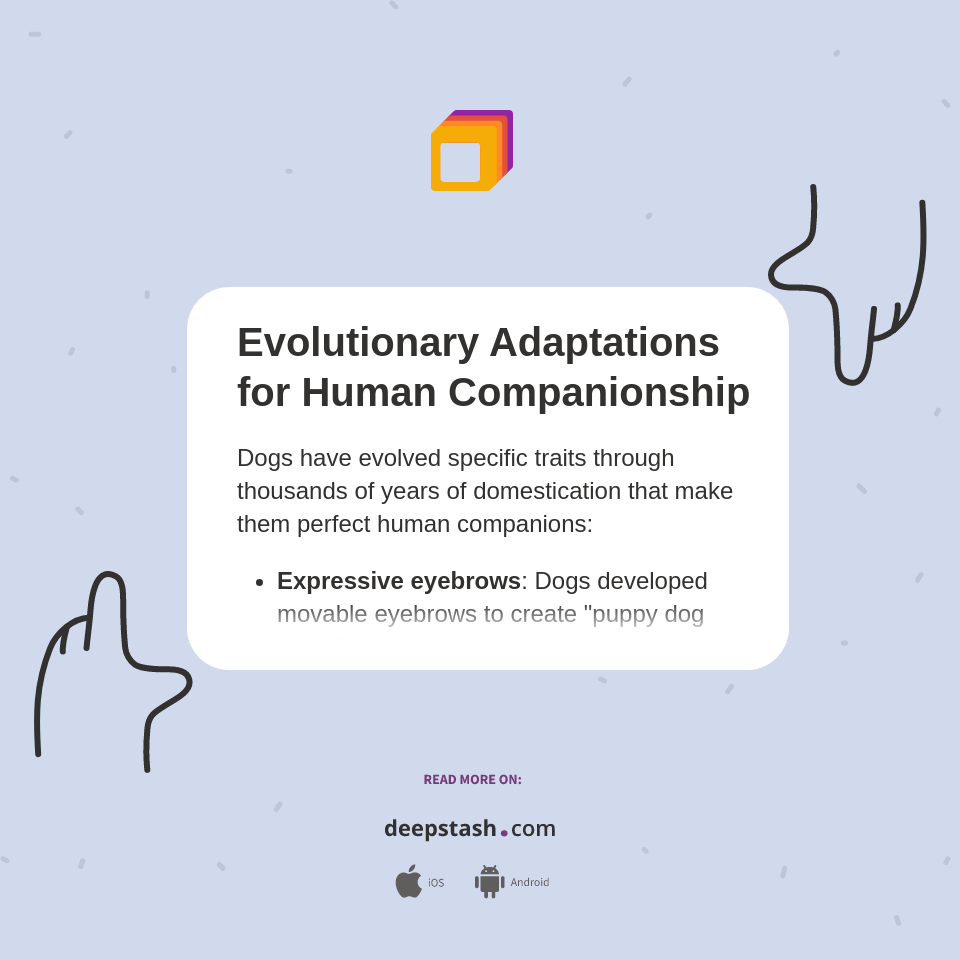 Evolutionary Adaptations for Human Companionship - Deepstash