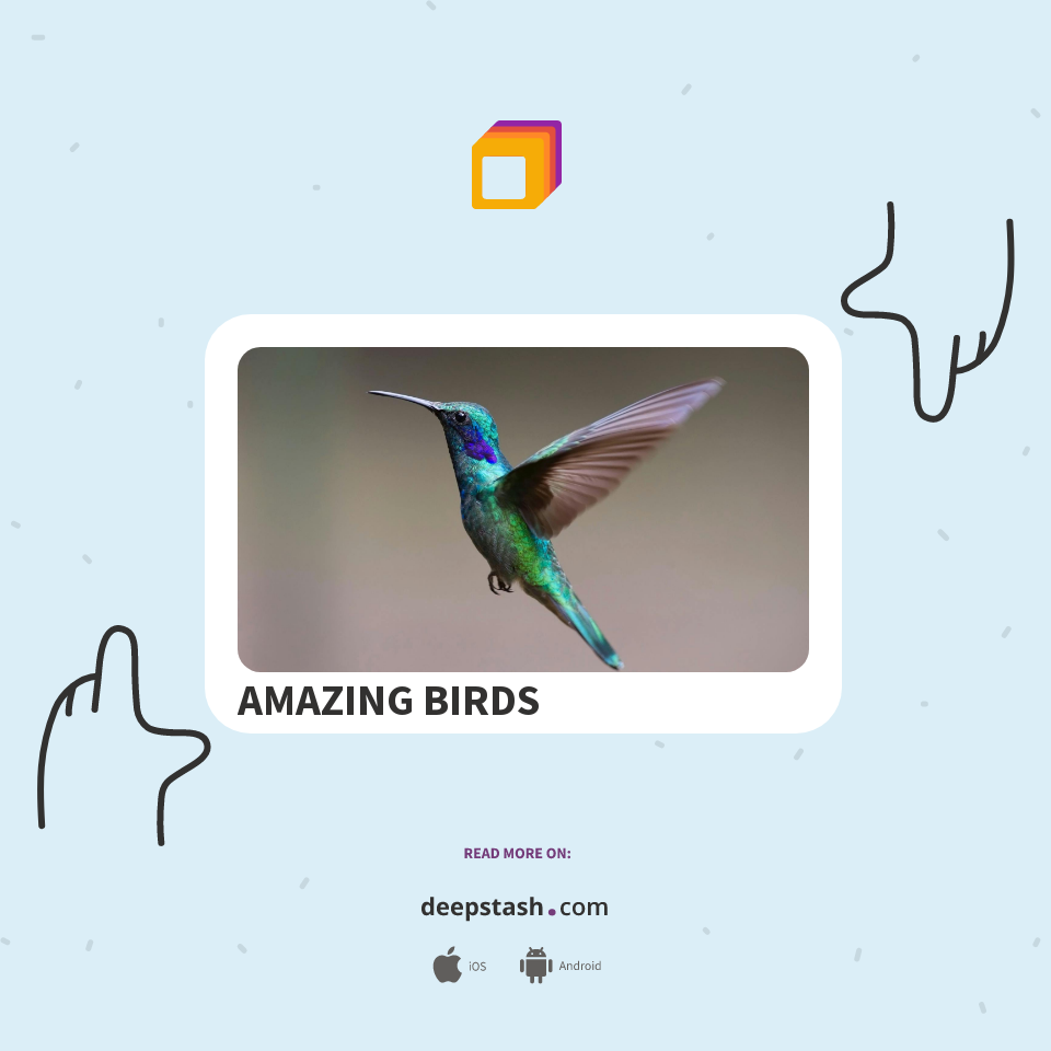 AMAZING BIRDS - Deepstash