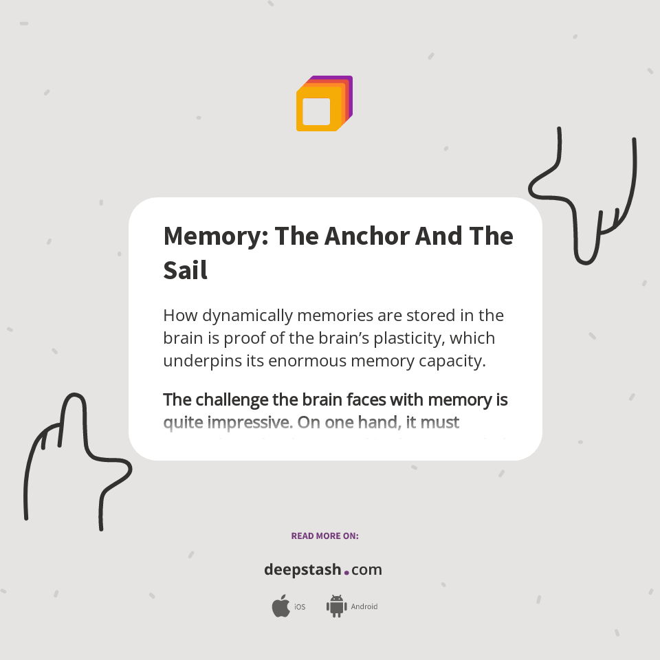 Memory: The Anchor And The Sail - Deepstash