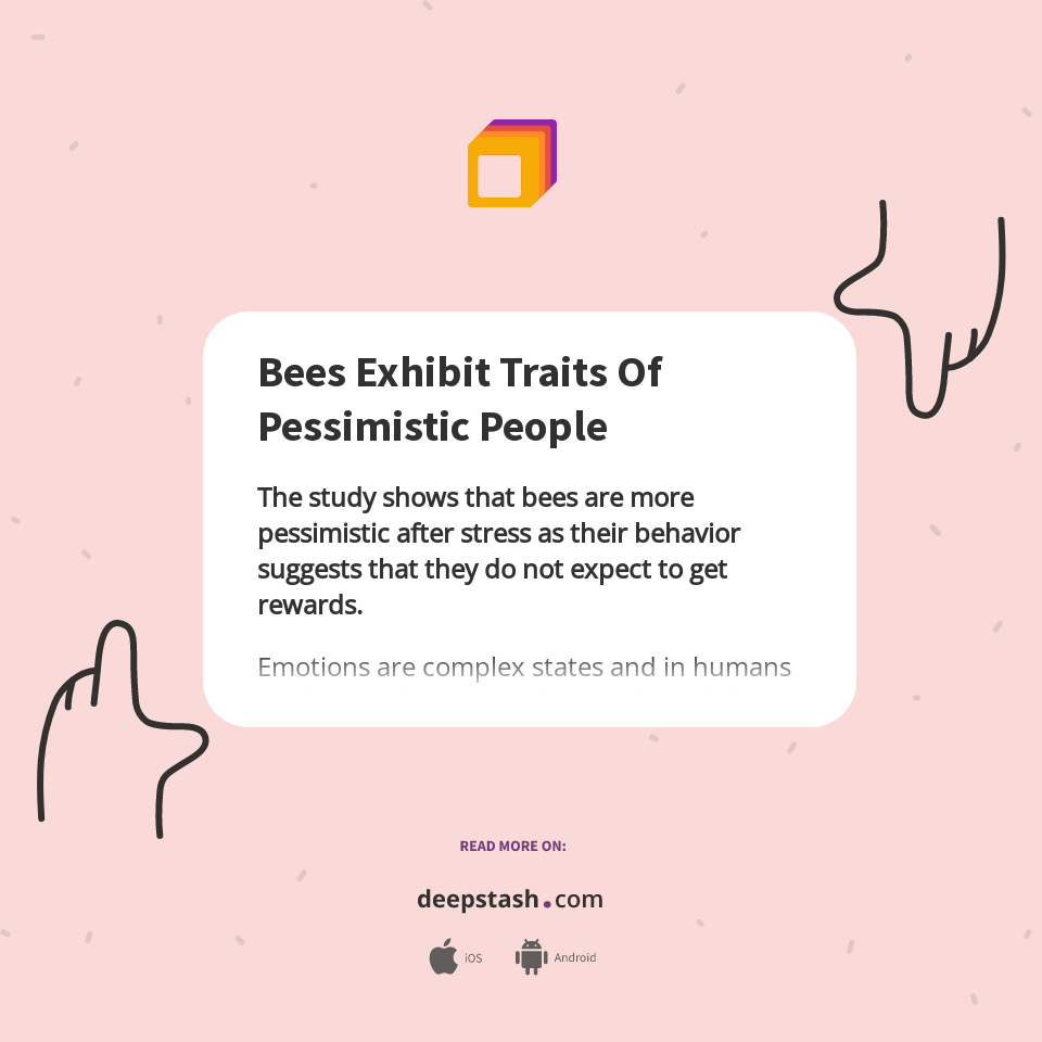 Bees Exhibit Traits Of Pessimistic People - Deepstash