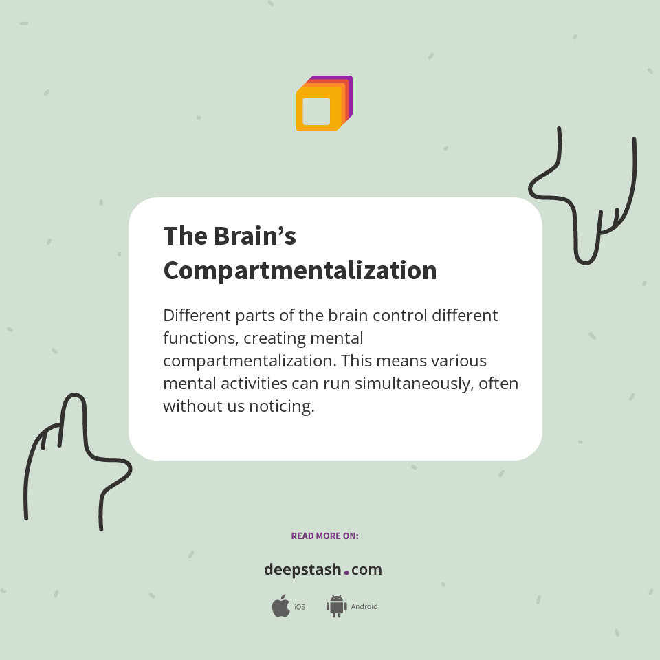 The Brain’s Compartmentalization - Deepstash