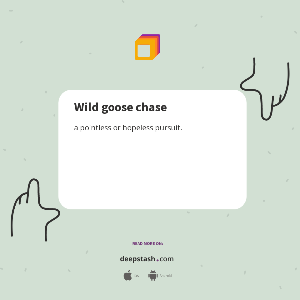 Wild goose chase - Deepstash