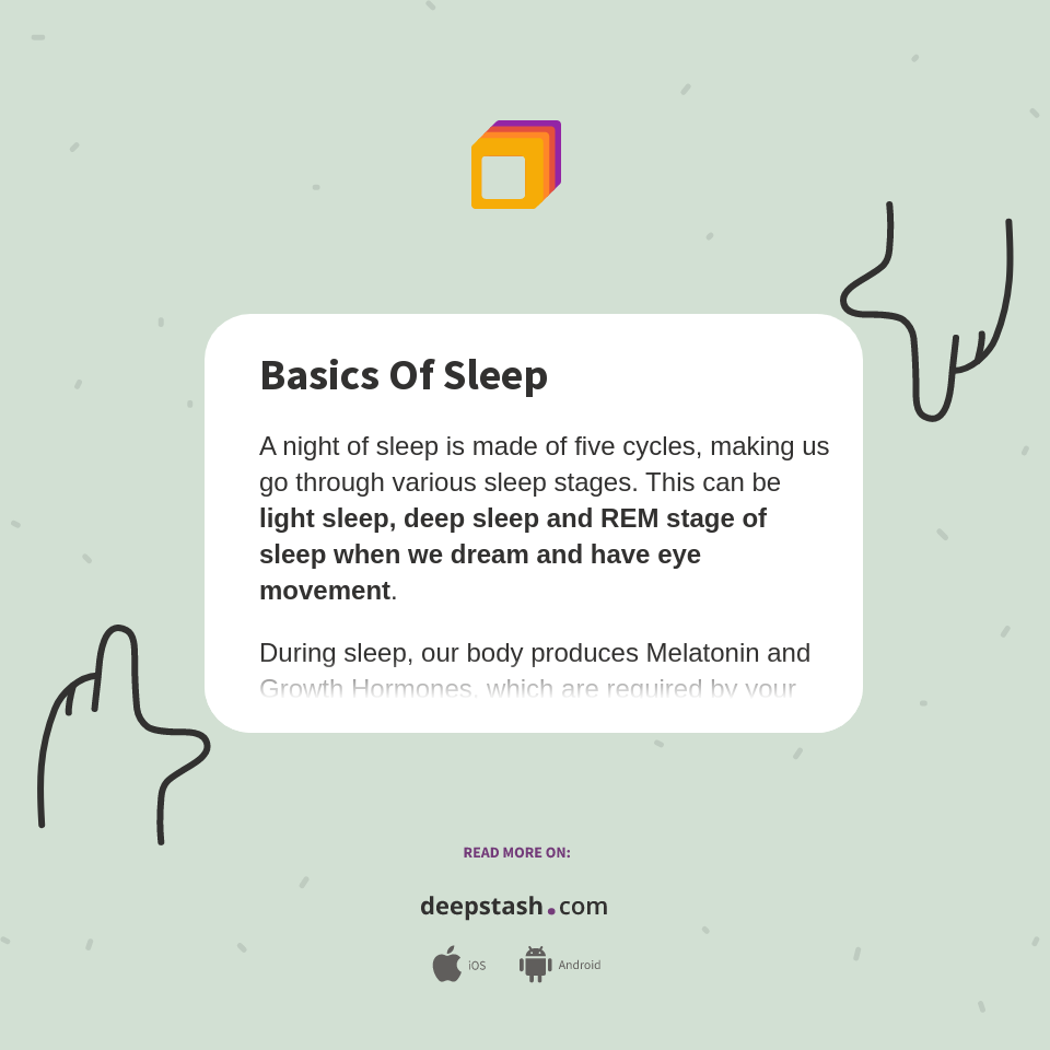 Basics Of Sleep - Deepstash