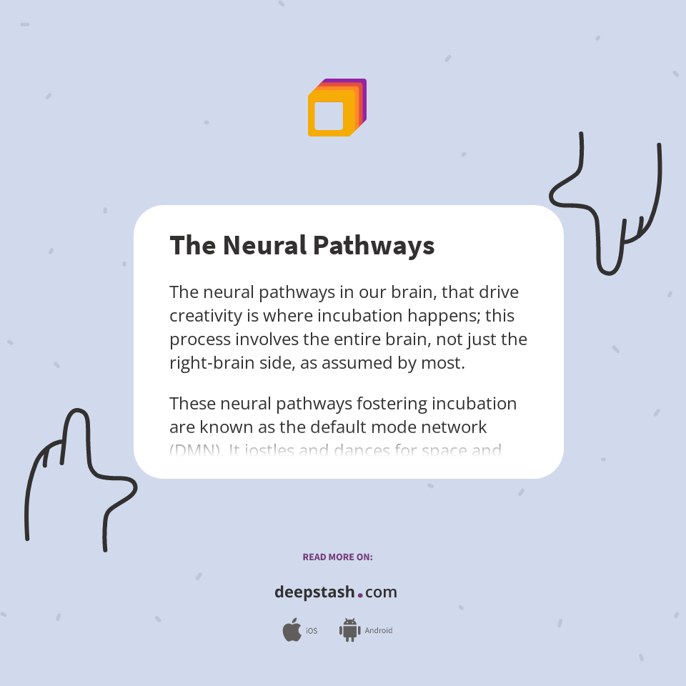 The Neural Pathways - Deepstash