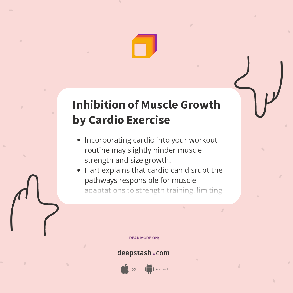 Inhibition of Muscle Growth by Cardio Exercise - Deepstash