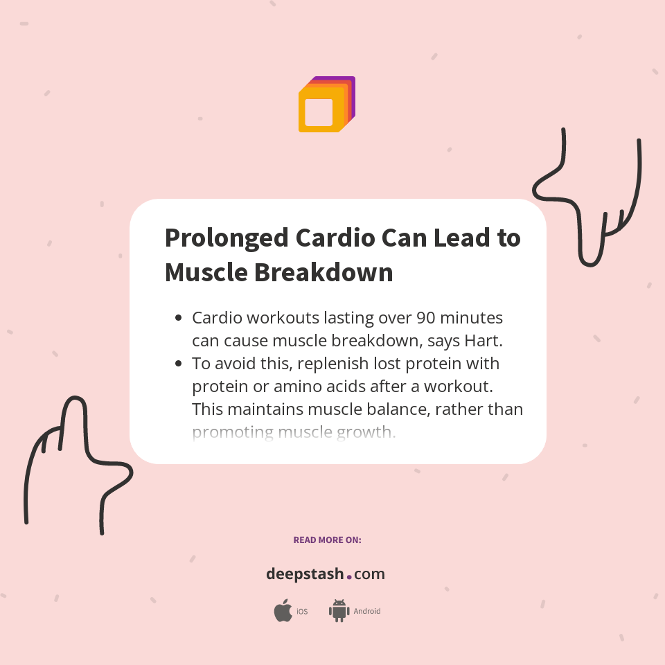 Prolonged Cardio Can Lead to Muscle Breakdown - Deepstash