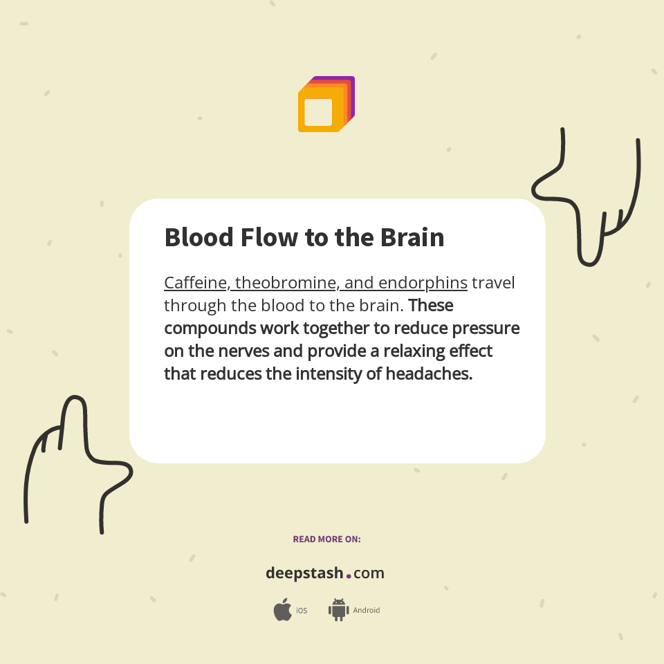 Blood Flow to the Brain - Deepstash