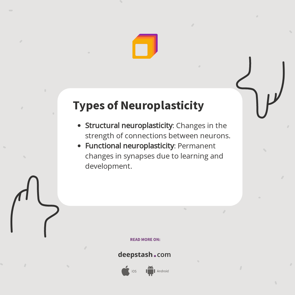 Types of Neuroplasticity - Deepstash