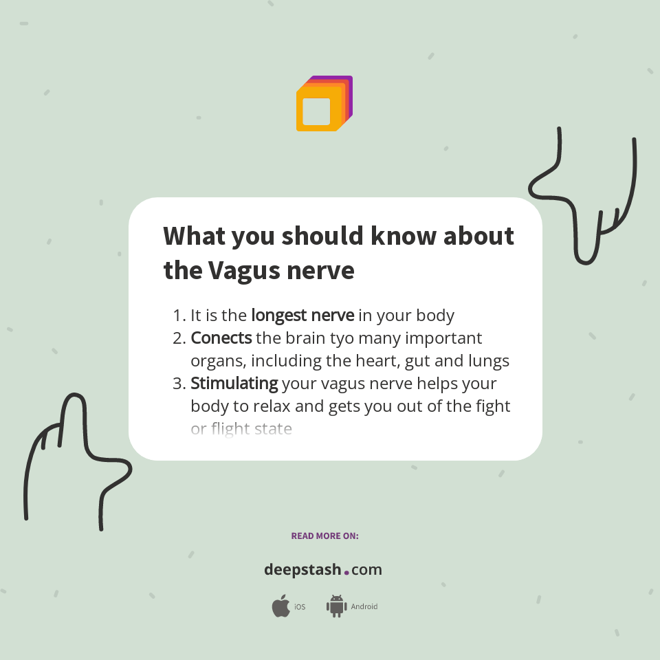 What you should know about the Vagus nerve - Deepstash