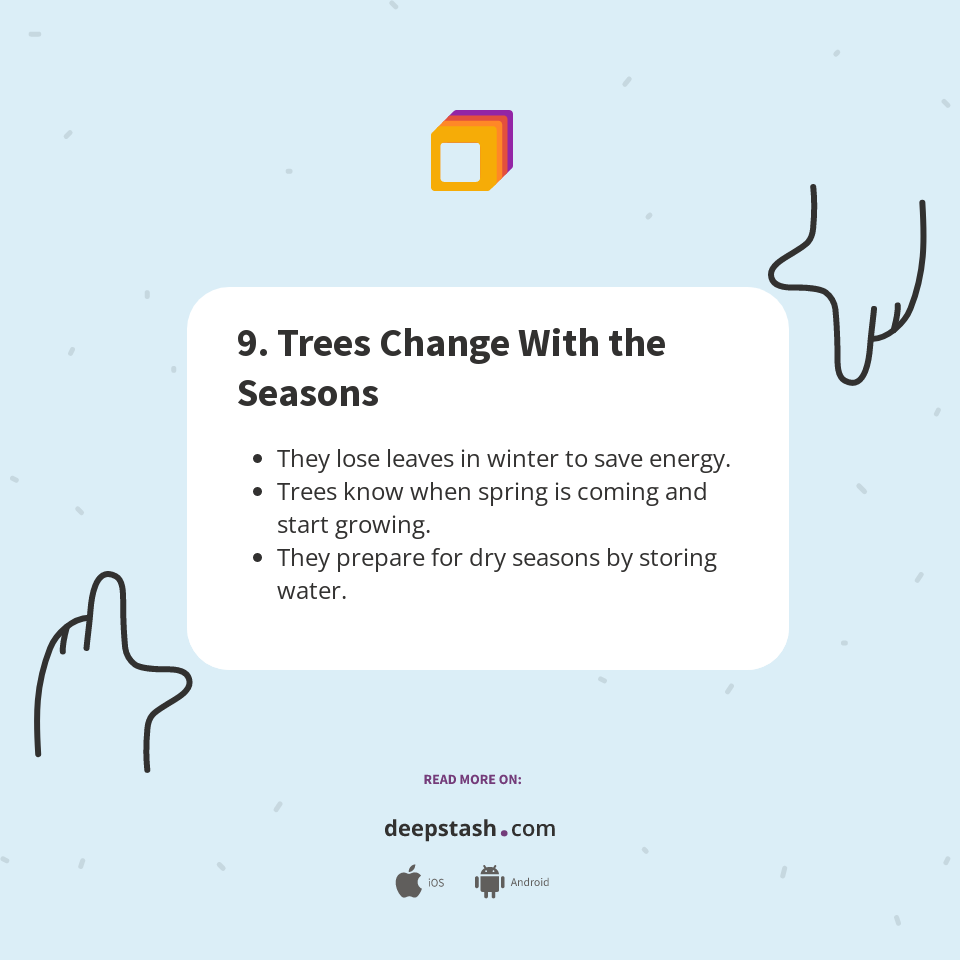 9. Trees Change With the Seasons - Deepstash