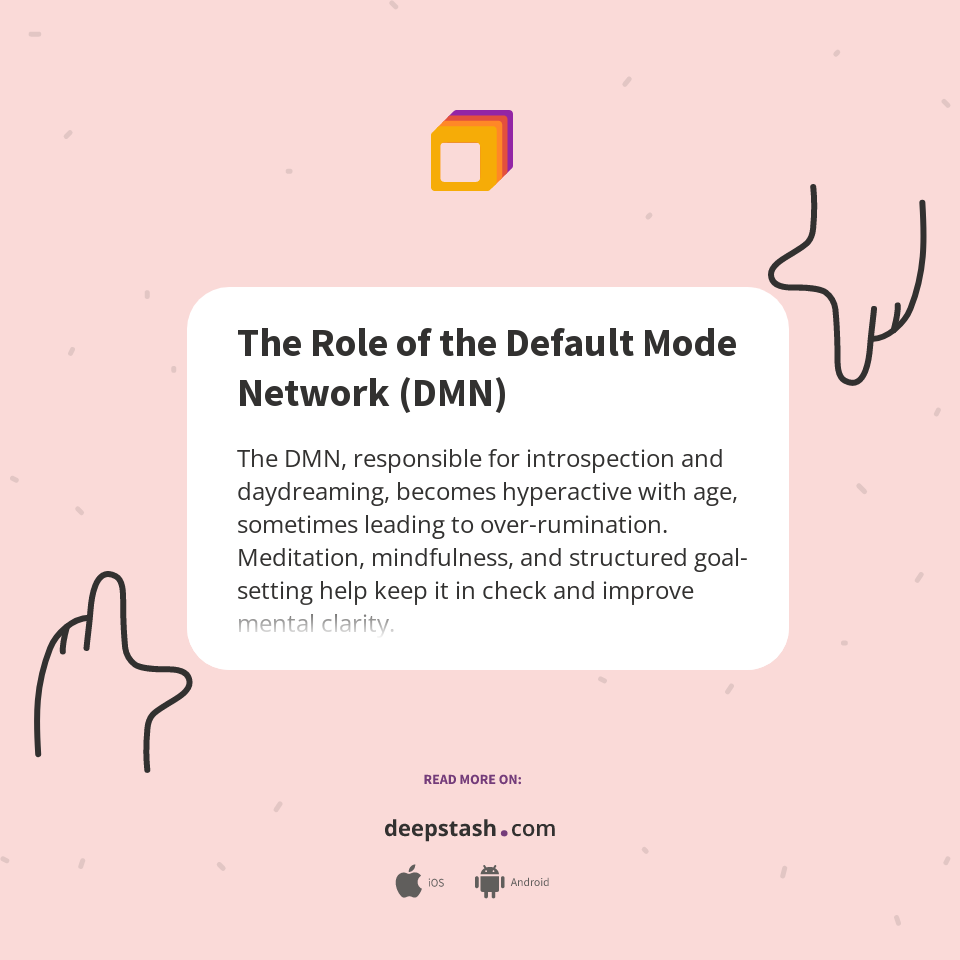 The Role of the Default Mode Network (DMN) - Deepstash