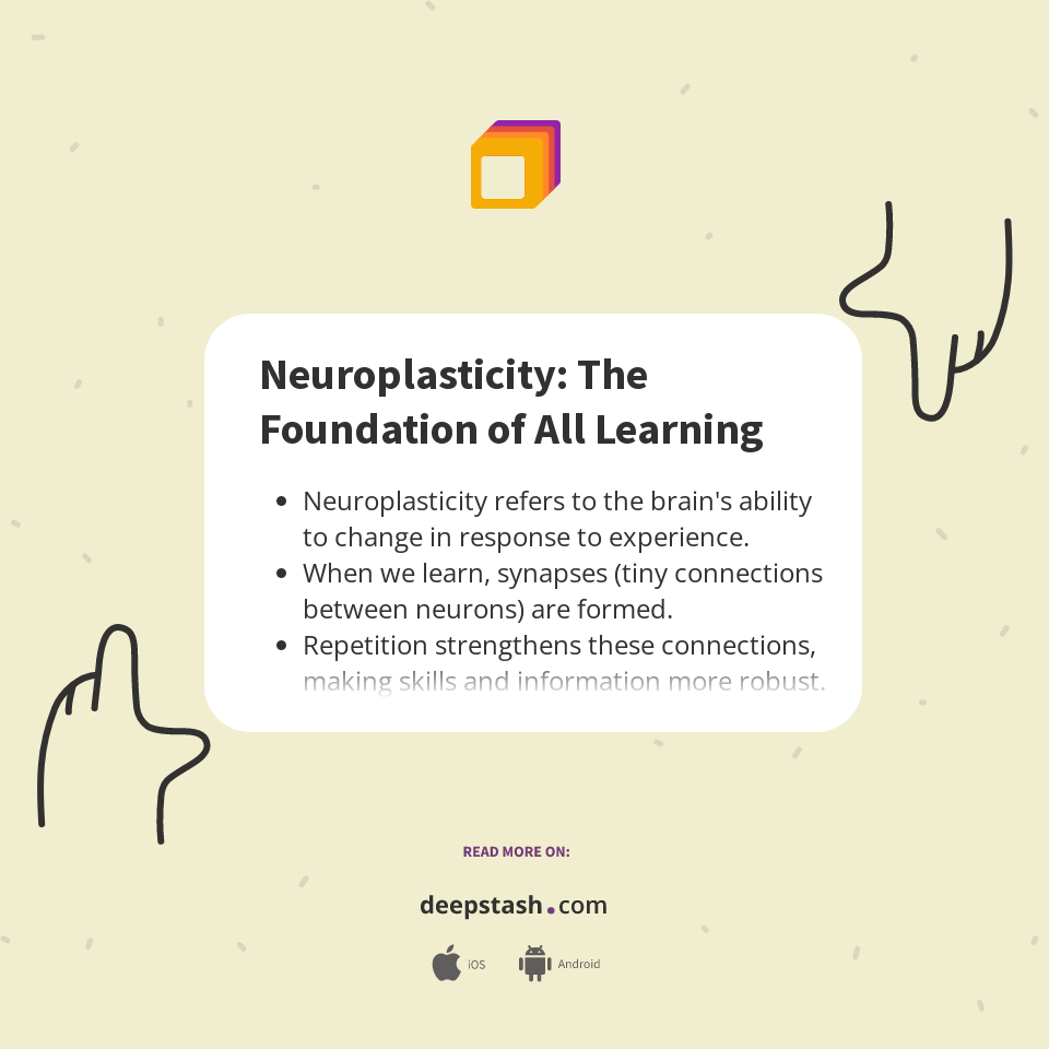 Neuroplasticity: The Foundation of All Learning - Deepstash