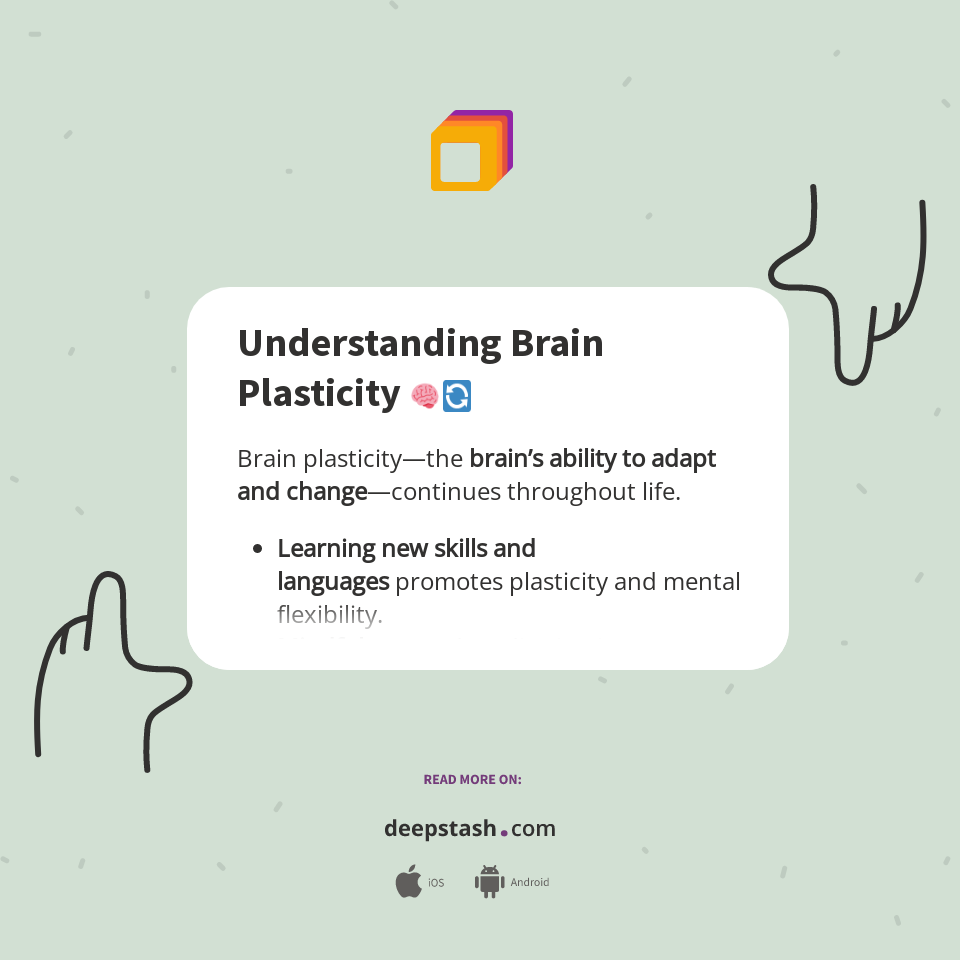 Understanding Brain Plasticity 🧠🔄 - Deepstash