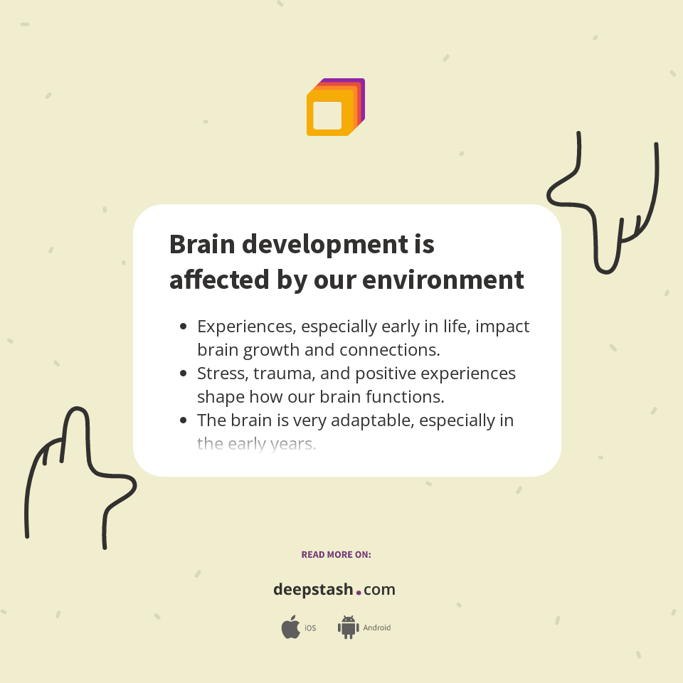 Brain development is affected by our environment - Deepstash