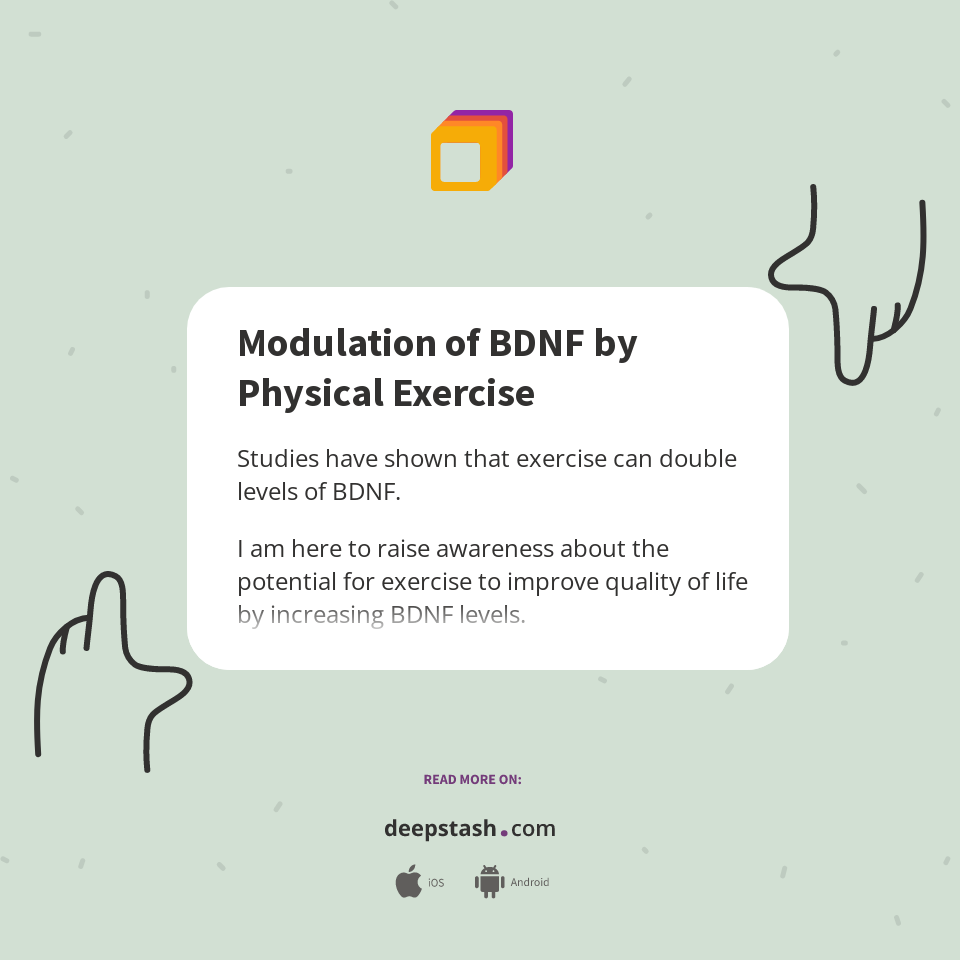 Modulation of BDNF by Physical Exercise - Deepstash