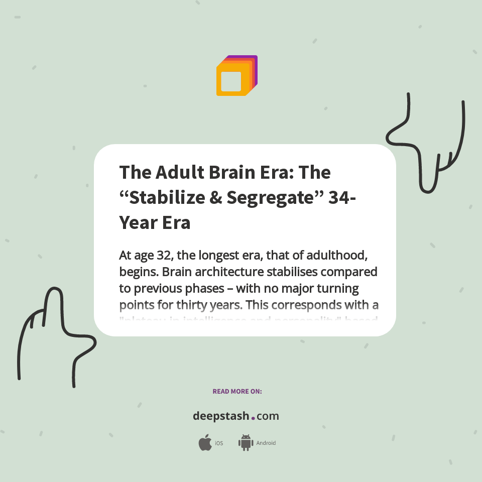 The Adult Brain Era: The “Stabilize & Segregate” 34-Year Era - Deepstash